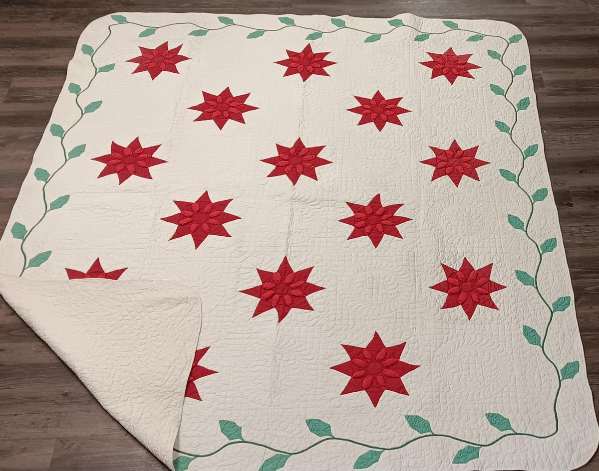 Trapunto Star 3/26 – Campus Store at College of the Ozarks